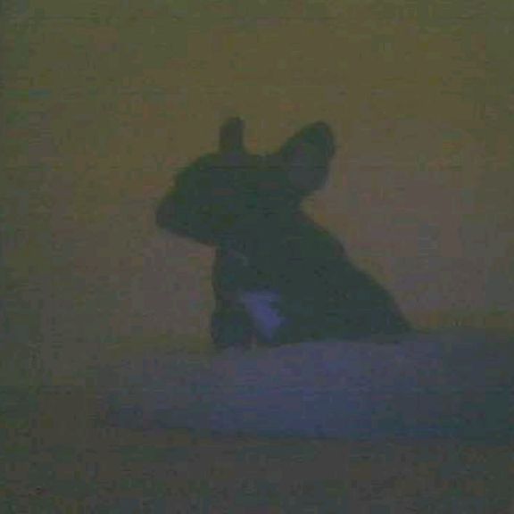 Иконка канала Zaxar560915