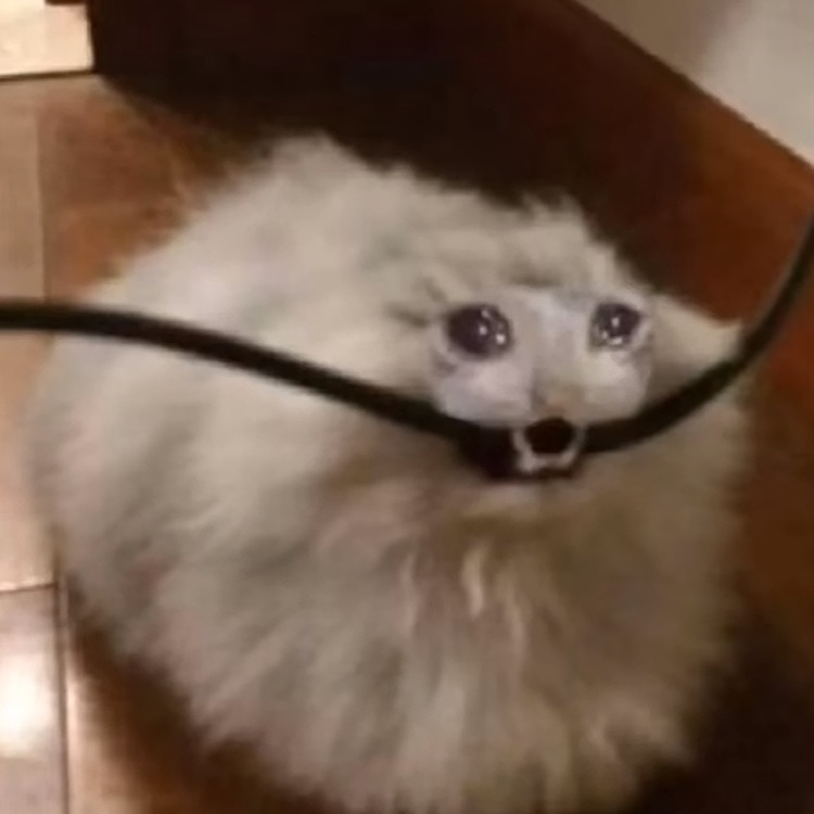 Иконка канала rutube-govno