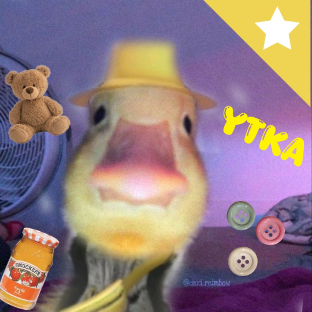 Иконка канала 🐥yTkA🐥