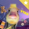 Иконка канала 🐥yTkA🐥
