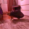 Иконка канала Данёк
