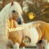 Иконка канала Horse Step - Лошади шляйх🐎🎥🔥
