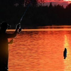 Иконка канала Утренняя Рыбалка