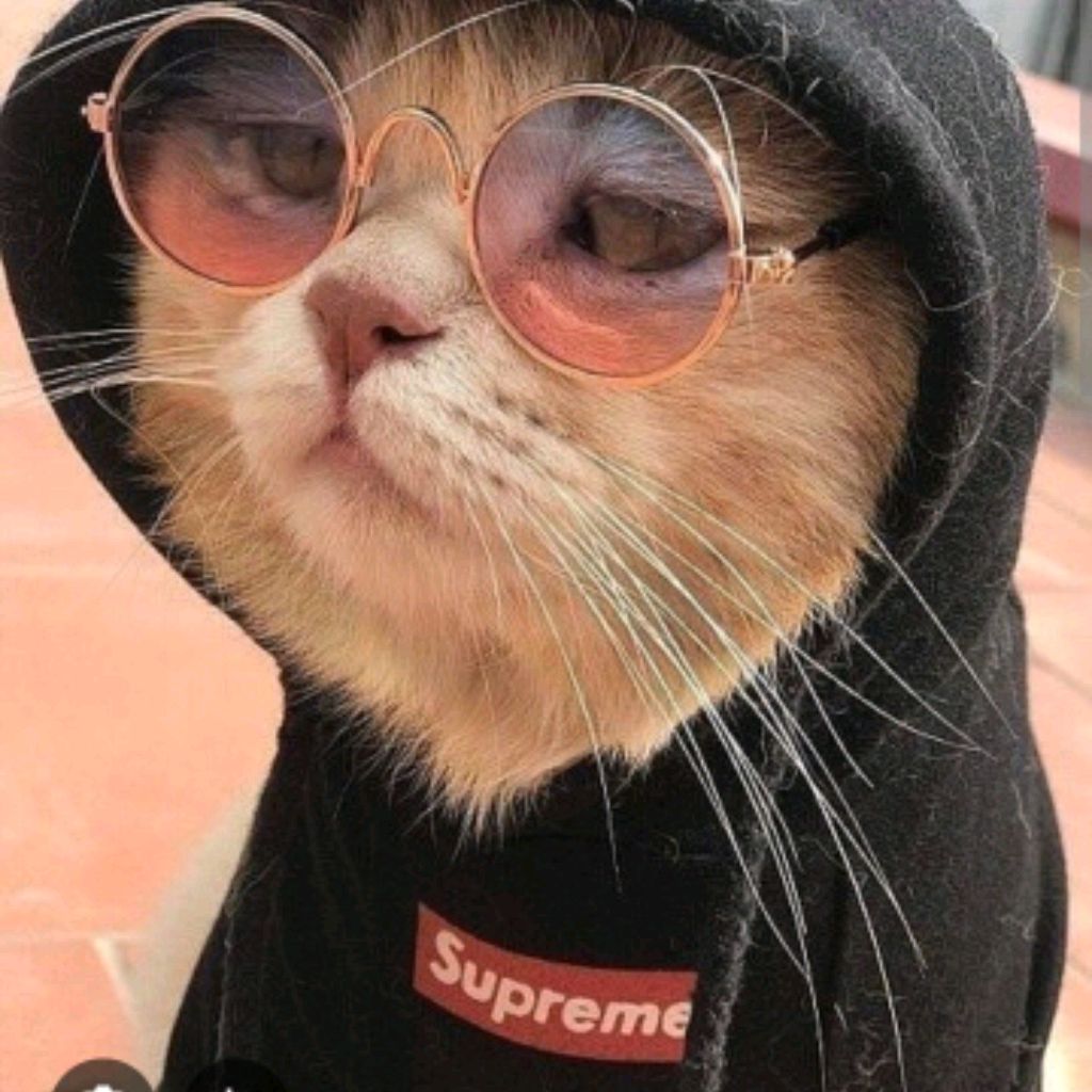 Иконка канала Wiskas12