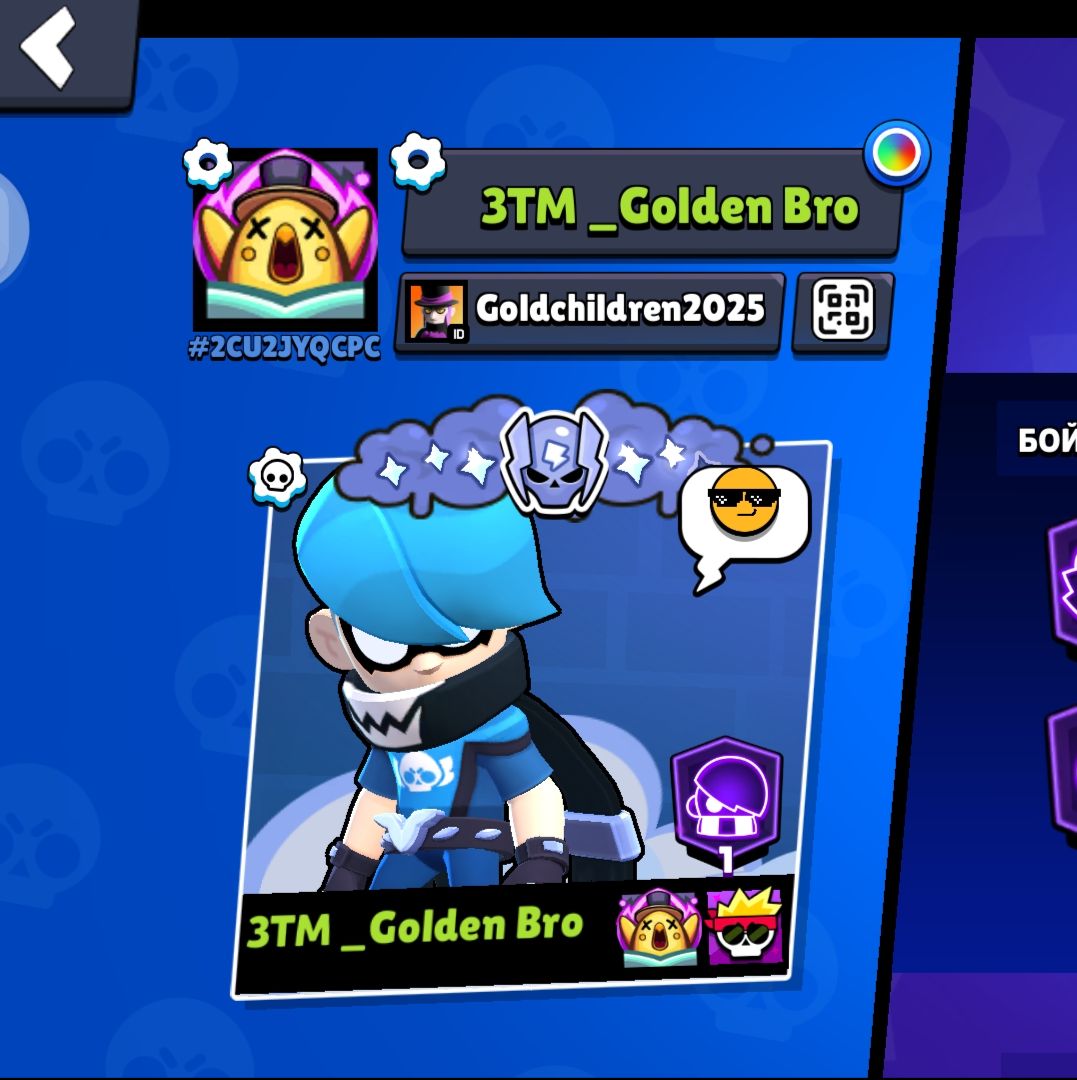 Иконка канала ЗТМ_Golden Bro