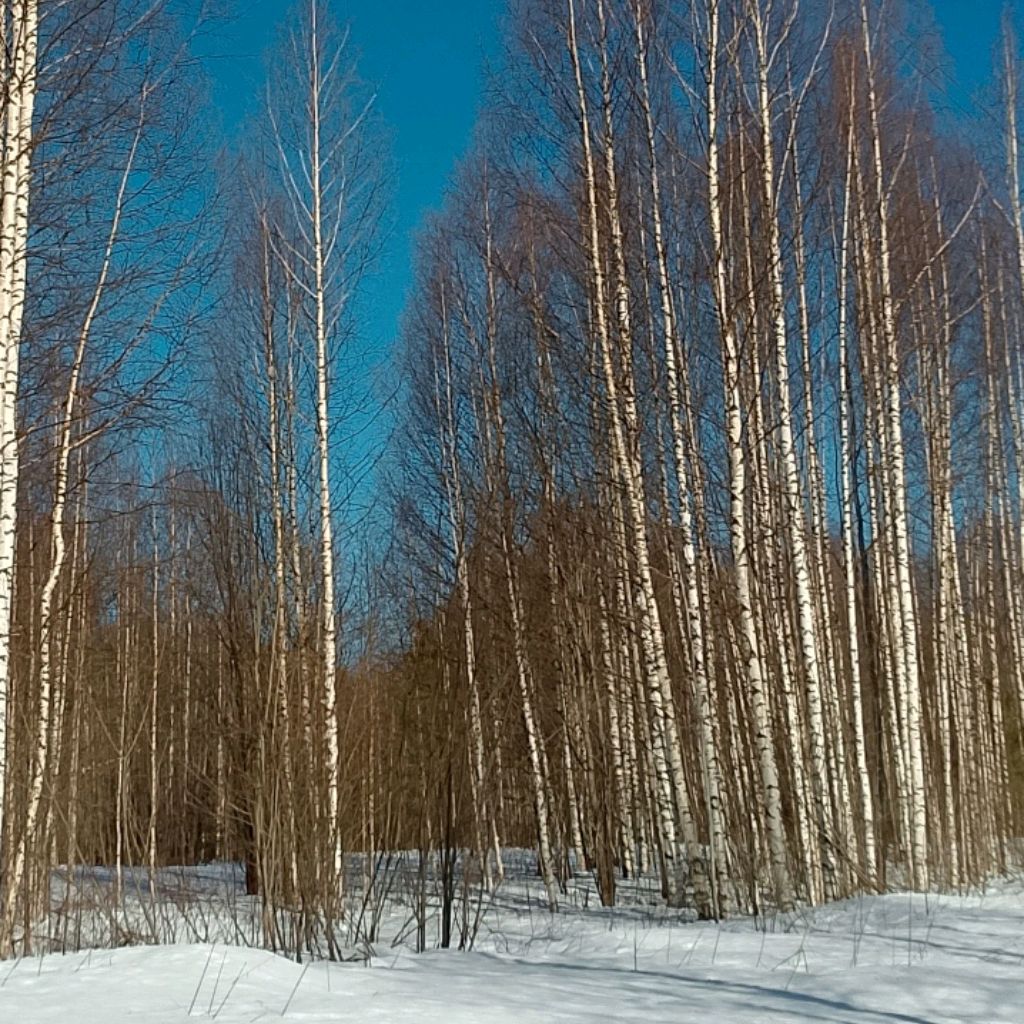 Иконка канала Strellok78