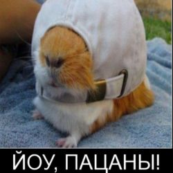 Иконка канала topik_ioy