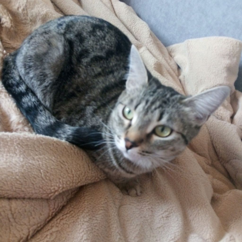 Иконка канала Saliye Mei🧡