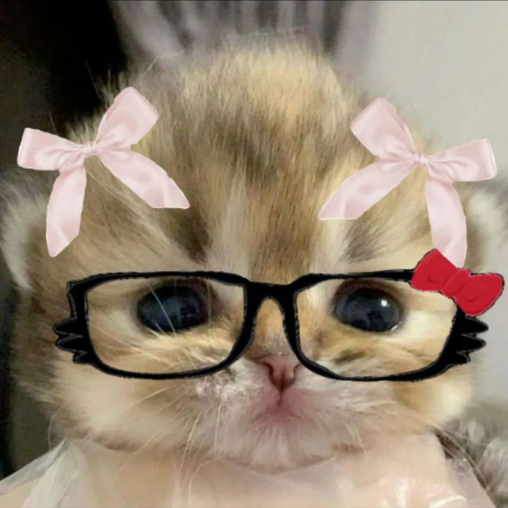 Иконка канала 🐾🎀Котейкины Новости🎀🐾