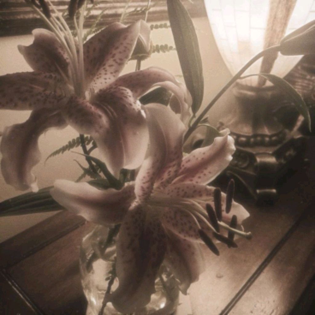 Иконка канала ДОЛБОЕБКА 2200