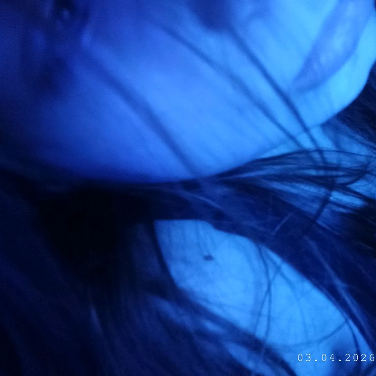 Иконка канала _MlLANA_KORRIDOR_