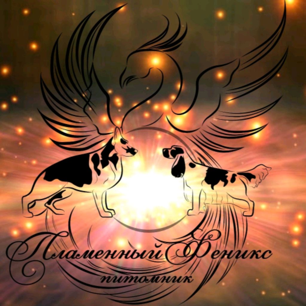 Иконка канала Пламенный Феникс 🐦🔥