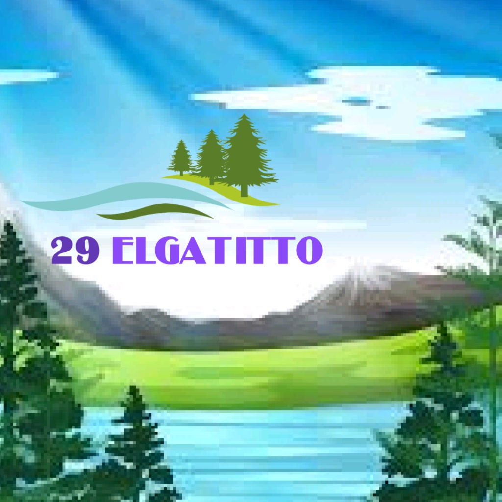 Иконка канала 29ELGATITTO 🇸🇰 (29ЭЛГАТИТТО)