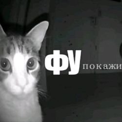 Иконка канала Егор геймер228