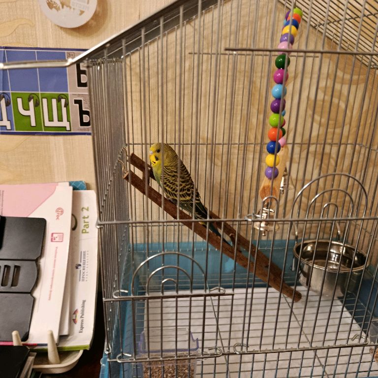 Иконка канала AleksBazd1