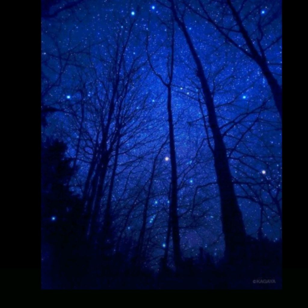 Иконка канала moto_V4RY4