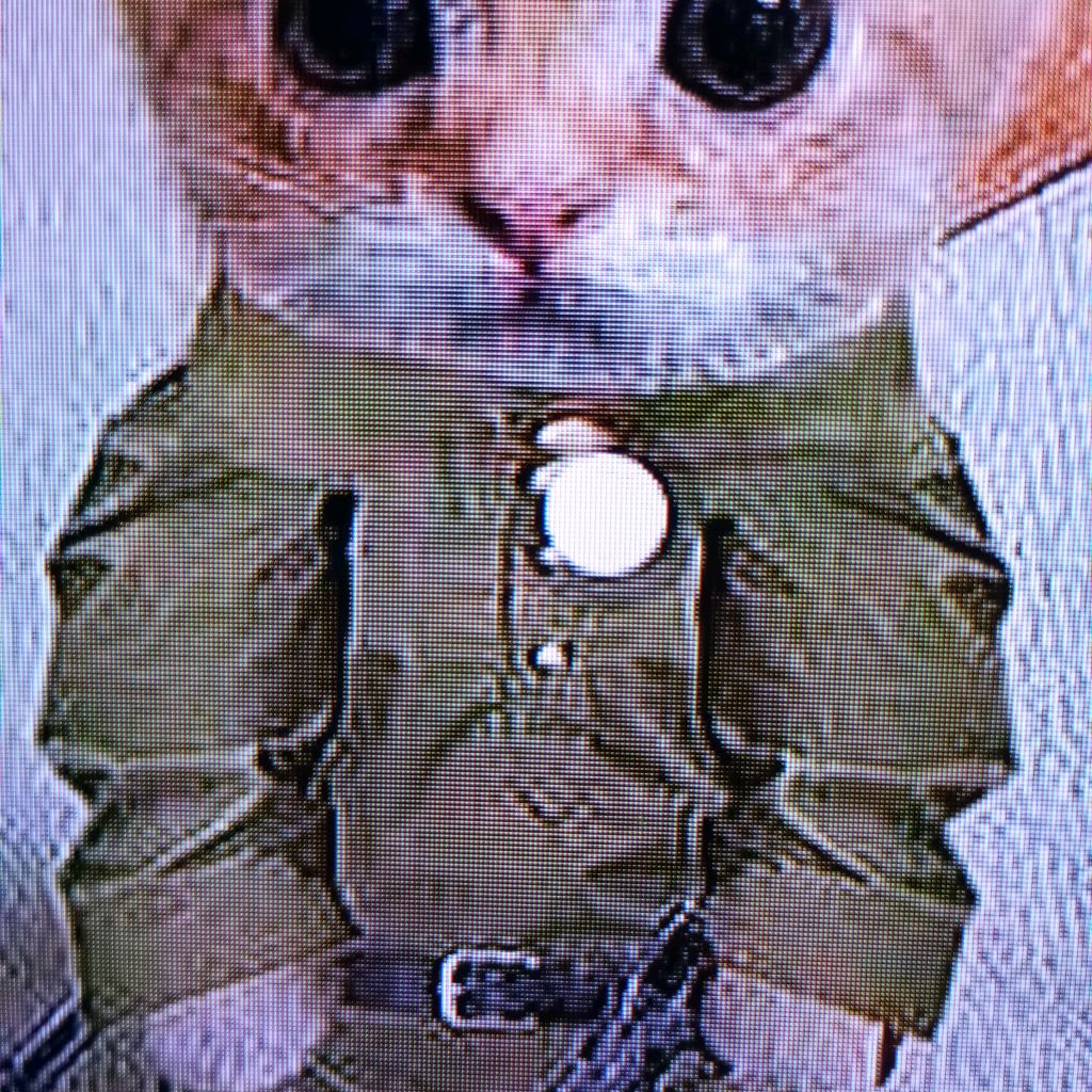 Иконка канала Егор Лисовский