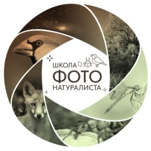 Иконка канала Александра Коломиец