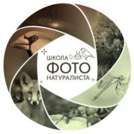 Иконка канала Александра Коломиец