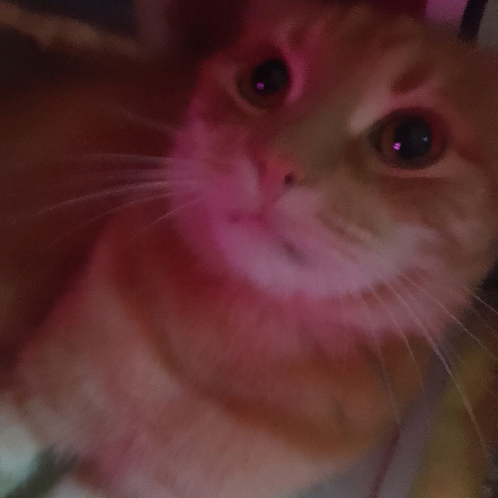 Иконка канала 𓇼✎White Mask𓇼