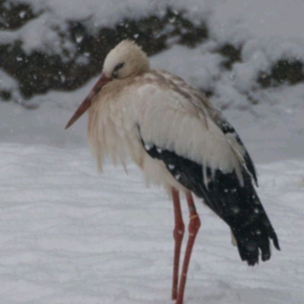 Иконка канала ☆Зимний аест☆