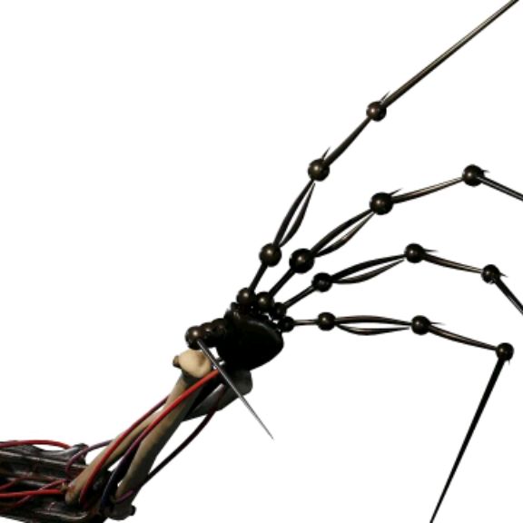 Иконка канала Лили. Стор ⚫🟣