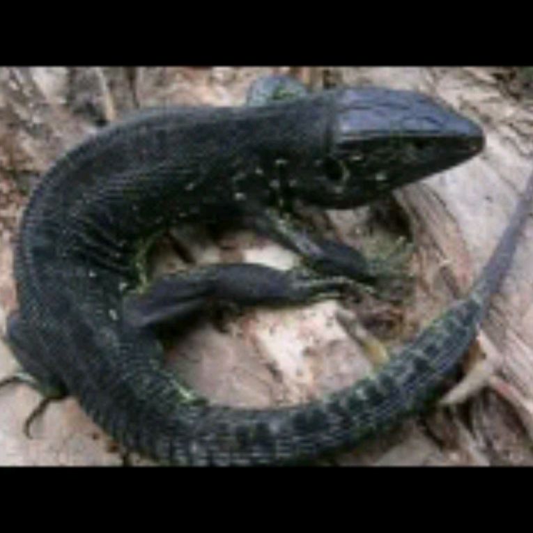 Иконка канала Серега Б2