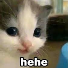 Иконка канала Мемы - Все Мемы!