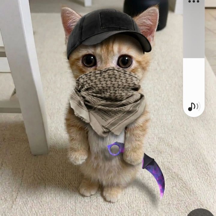 Иконка канала Ромчик Помчик