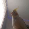 Иконка канала Макс Готов На Всё