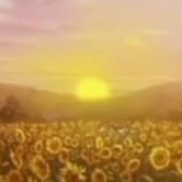 Иконка канала 🎨Софа (возможно уйдёт)🥞