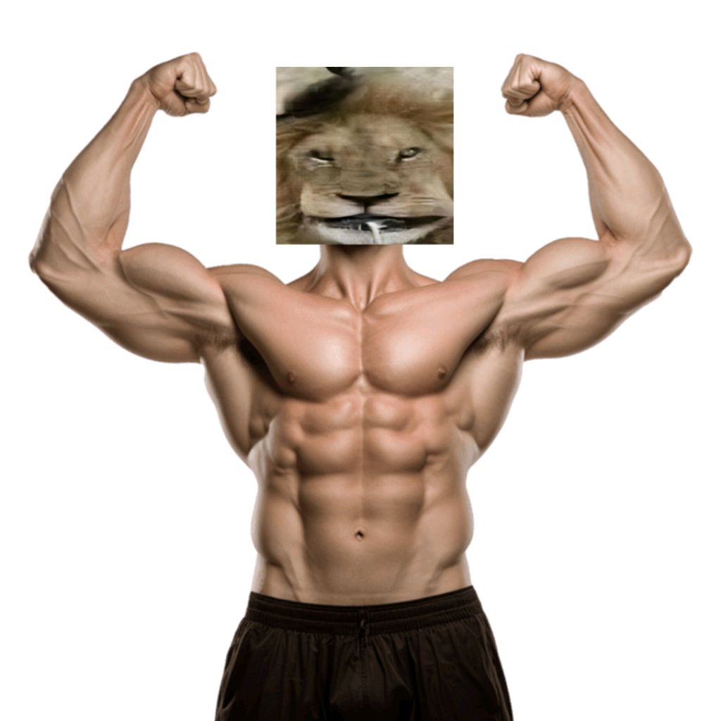 Иконка канала MEGA VOLDA