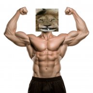 Иконка канала MEGA VOLDA