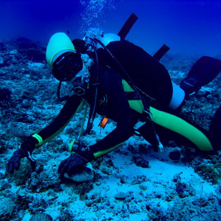 Иконка канала DiveHub