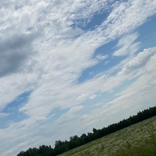 Иконка канала Инна • Дом • Уют