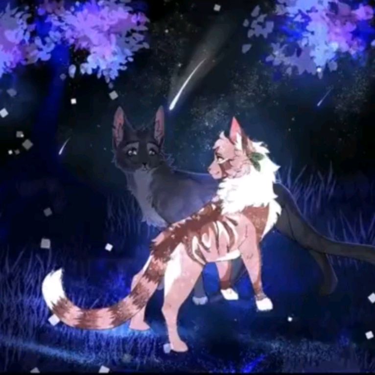 Иконка канала 💖Луно Хвостатая - Кв🩷