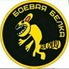 Иконка канала БОЕВАЯ БЕЛКА