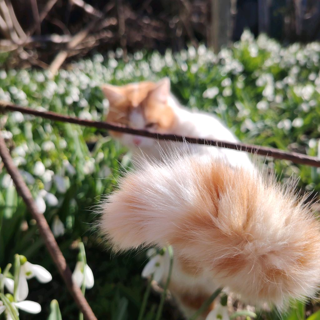 Иконка канала петя 29k