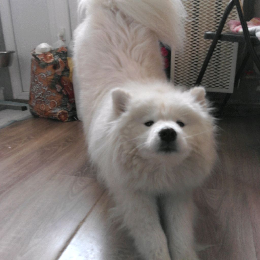 Иконка канала Всё Самое Интересное