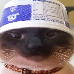 Иконка канала балдёжь fm