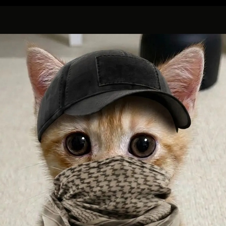 Иконка канала Dragon Flow