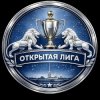 Иконка канала Открытая Лига Санкт-Петербурга
