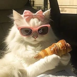 Иконка канала Софи К