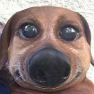 Иконка канала pioneer87