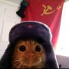 Иконка канала Кот СССР