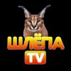 Иконка канала Шлёпа ТВ