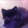 Иконка канала котёнок  I LOVE  CAT