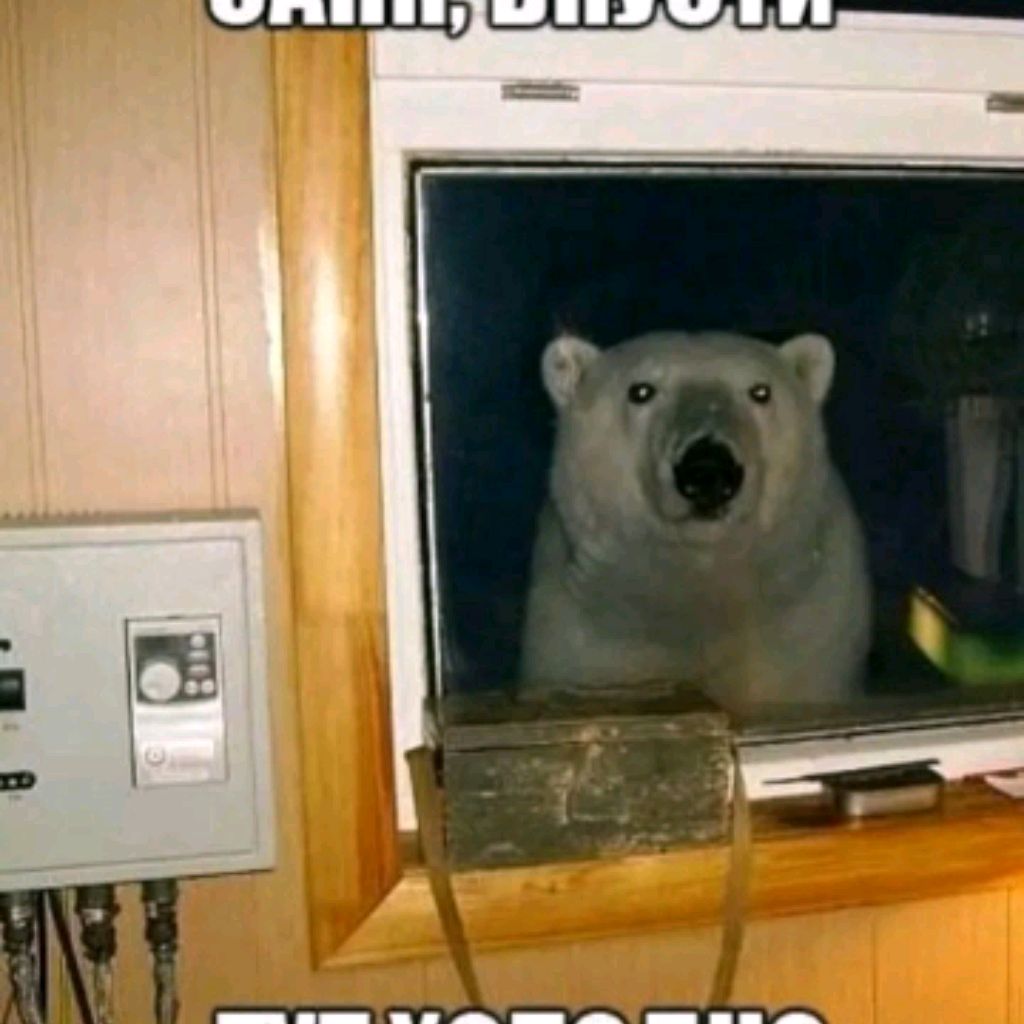 Иконка канала 😜🤙⟦Z⟧⟦E⟧⟦N⟧⟦C⟧⟦H⟧⟦I⟧⟦K⟧😜🤙