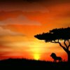 Иконка канала Animals_112