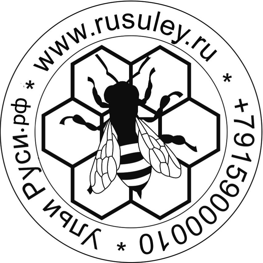 Иконка канала Ульи Руси